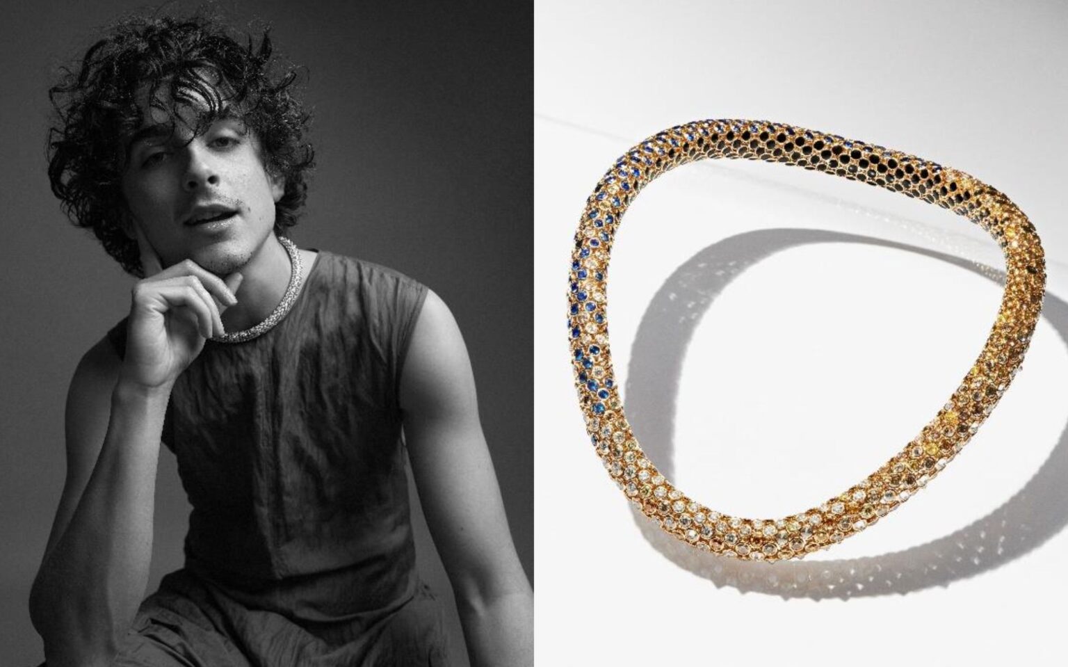 Cartier brand ambassador Timothée Chalamet attended the red carpet of ...